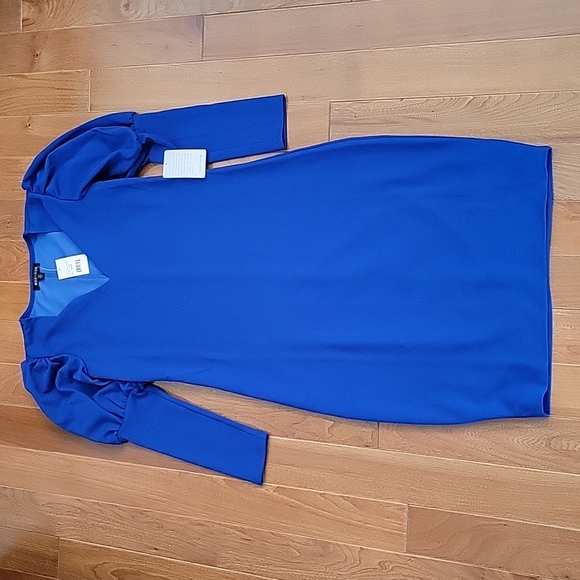 max+ash | Dresses | Nwt Max Ash Long Puff Sleeve Beight Blue Dress ...